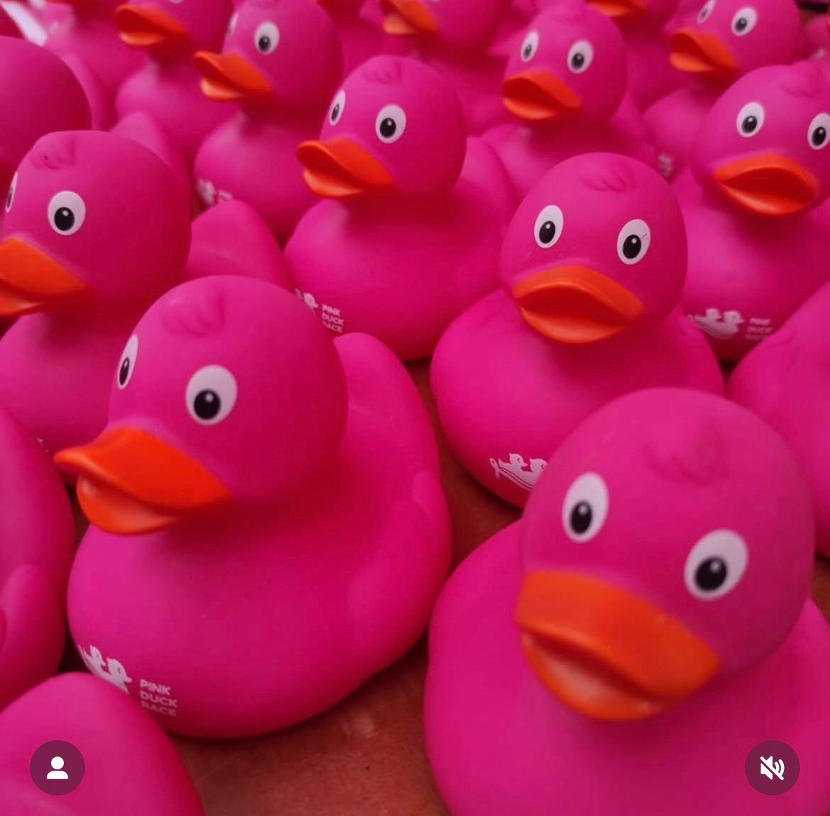 QUACK ,QUACK IT IS THE PINK DUCK RACE . – 2Shades Magazine